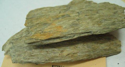 Fillit | KÖRnyezetvédelmi INFOrmáció